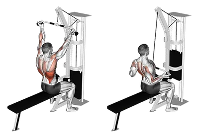 Reverse-Grip Lat Pulldown: Form, Tips & Common Mistakes