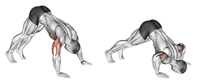 Pike Push Up: Build Strong Shoulders & Master Your Form | Volym