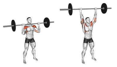 Barbell Shoulder Press – Proper Form, Tips & Programming